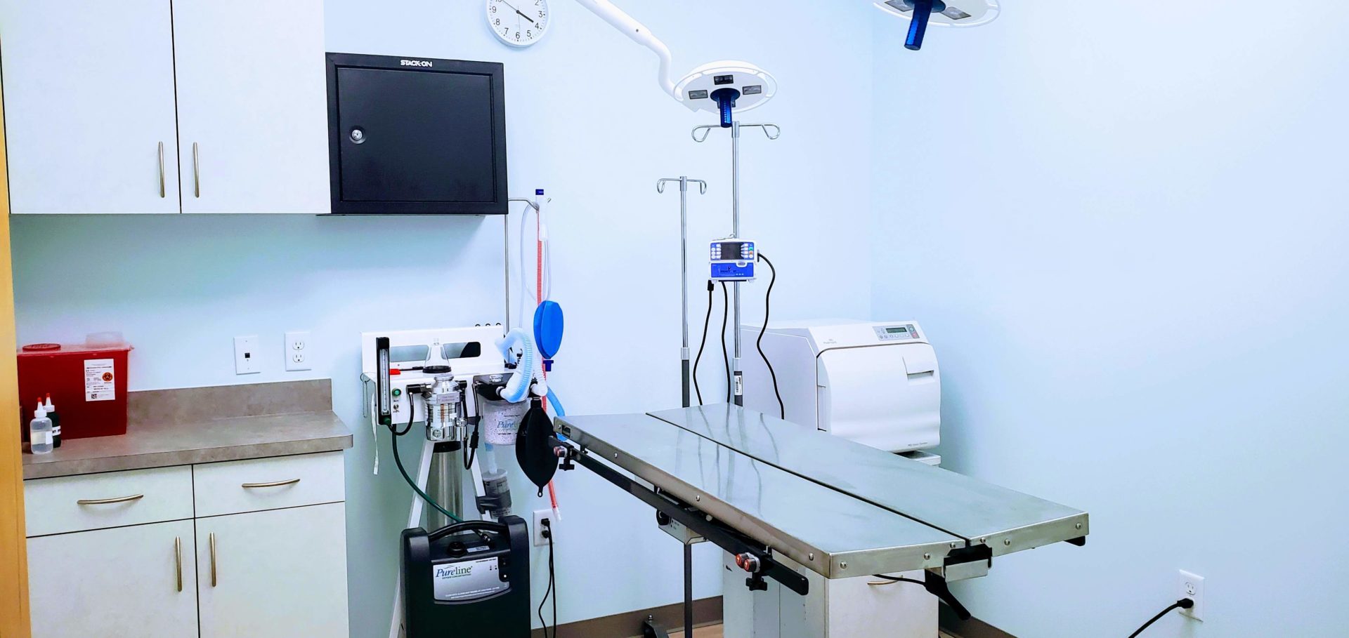 Preparing Your Pet for Surgery: What to Expect? – Harmony Pet Clinic